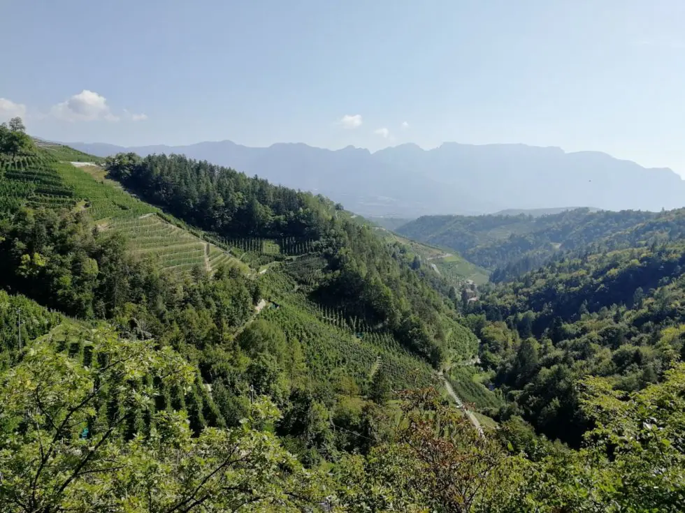 Lake Tovel: Where Is It and Everything you Need to Know to Visit it