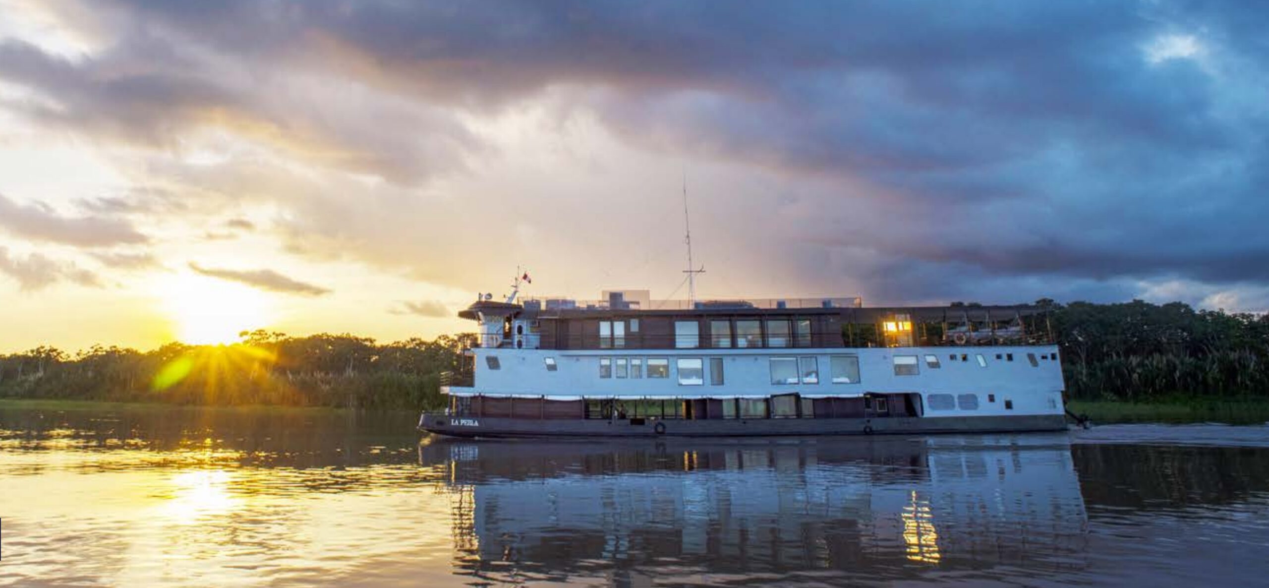 Discover the Wonder of Amazon Plants on an Amazon River Cruise
