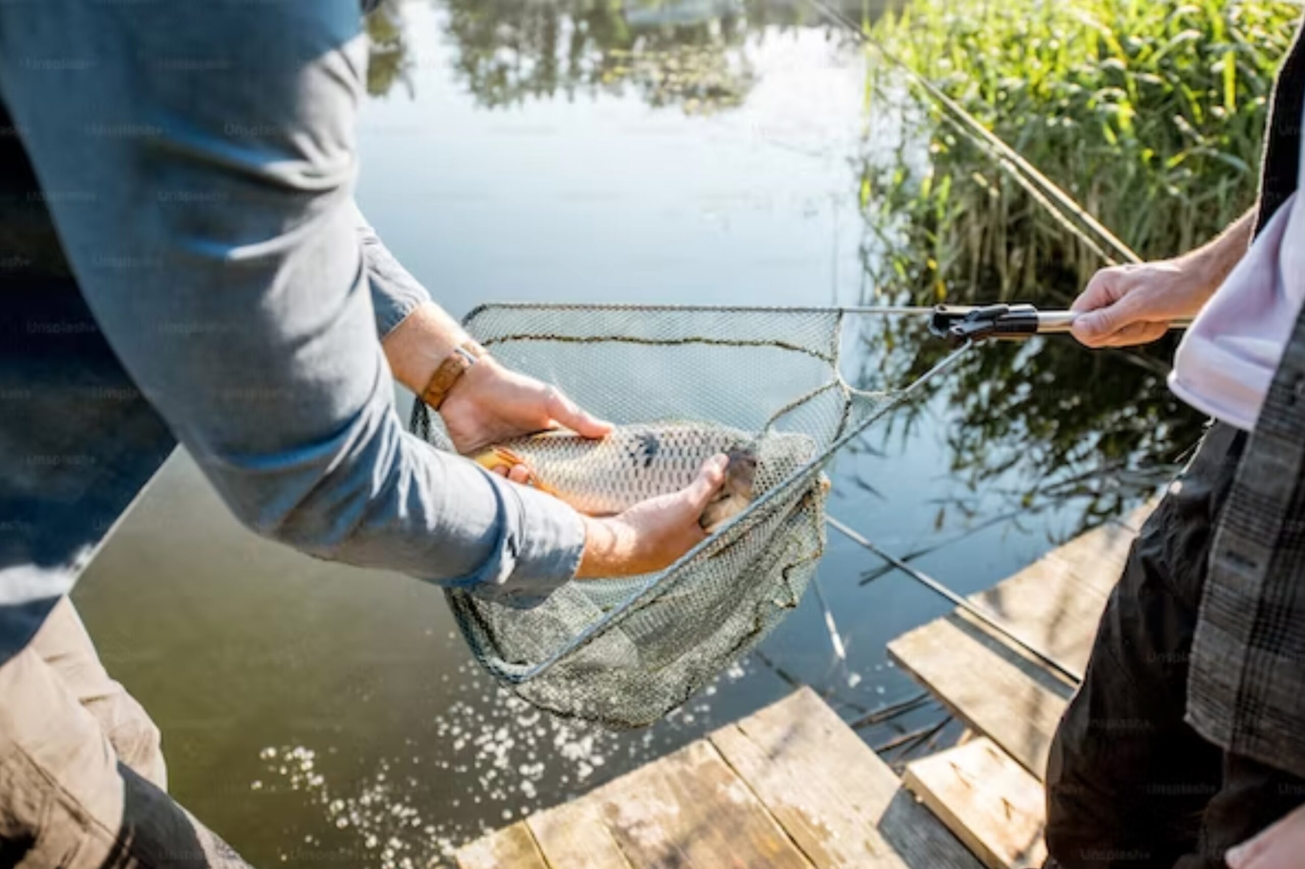 TOP 5 Freshwater Locations to Go Fishing in Europe - Lost on The Route