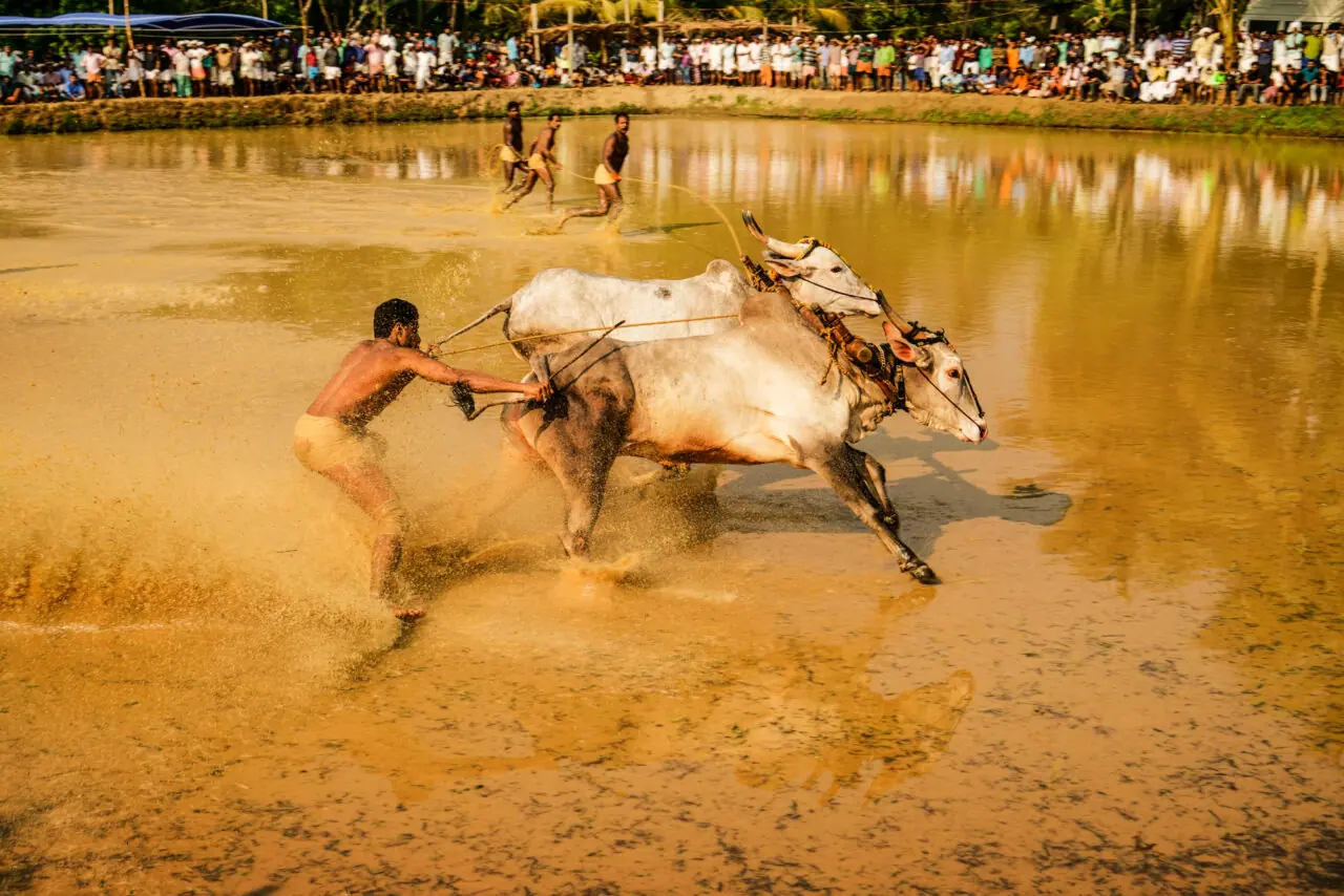 10 Fun Facts about Kerala - "God's Own Country" in India!