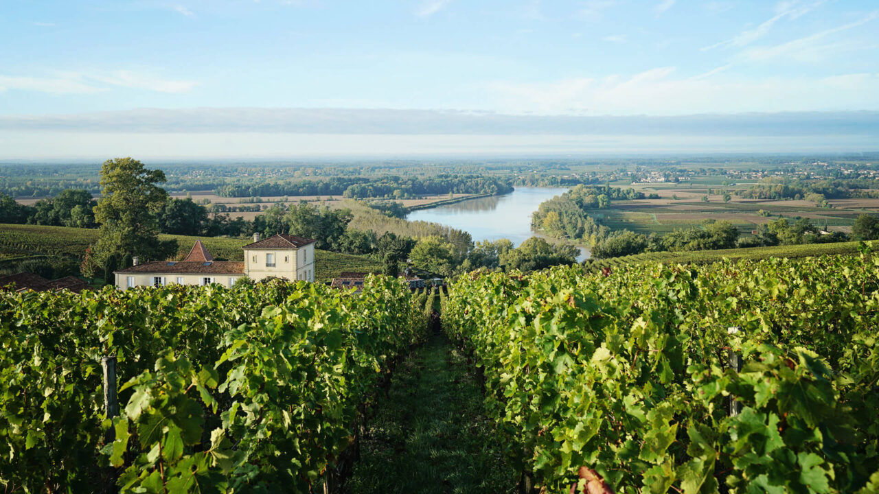 7 Curious Fun Facts about Bordeaux (France) that will Surprise You